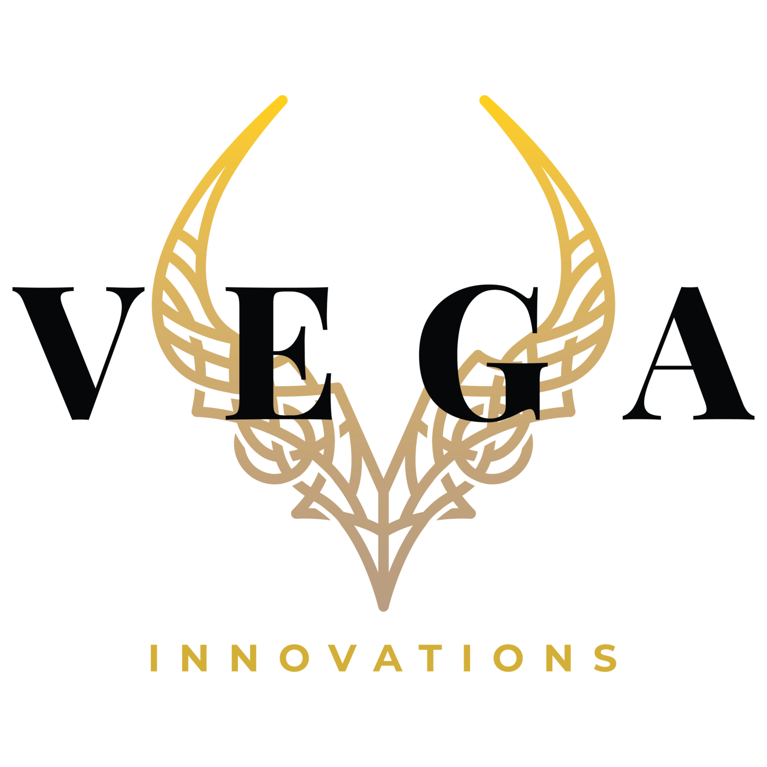 Home - Vega Innovations